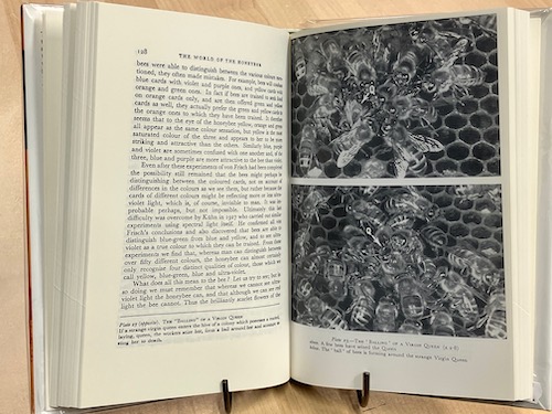 The World of the Honeybee-Colin G. Butler